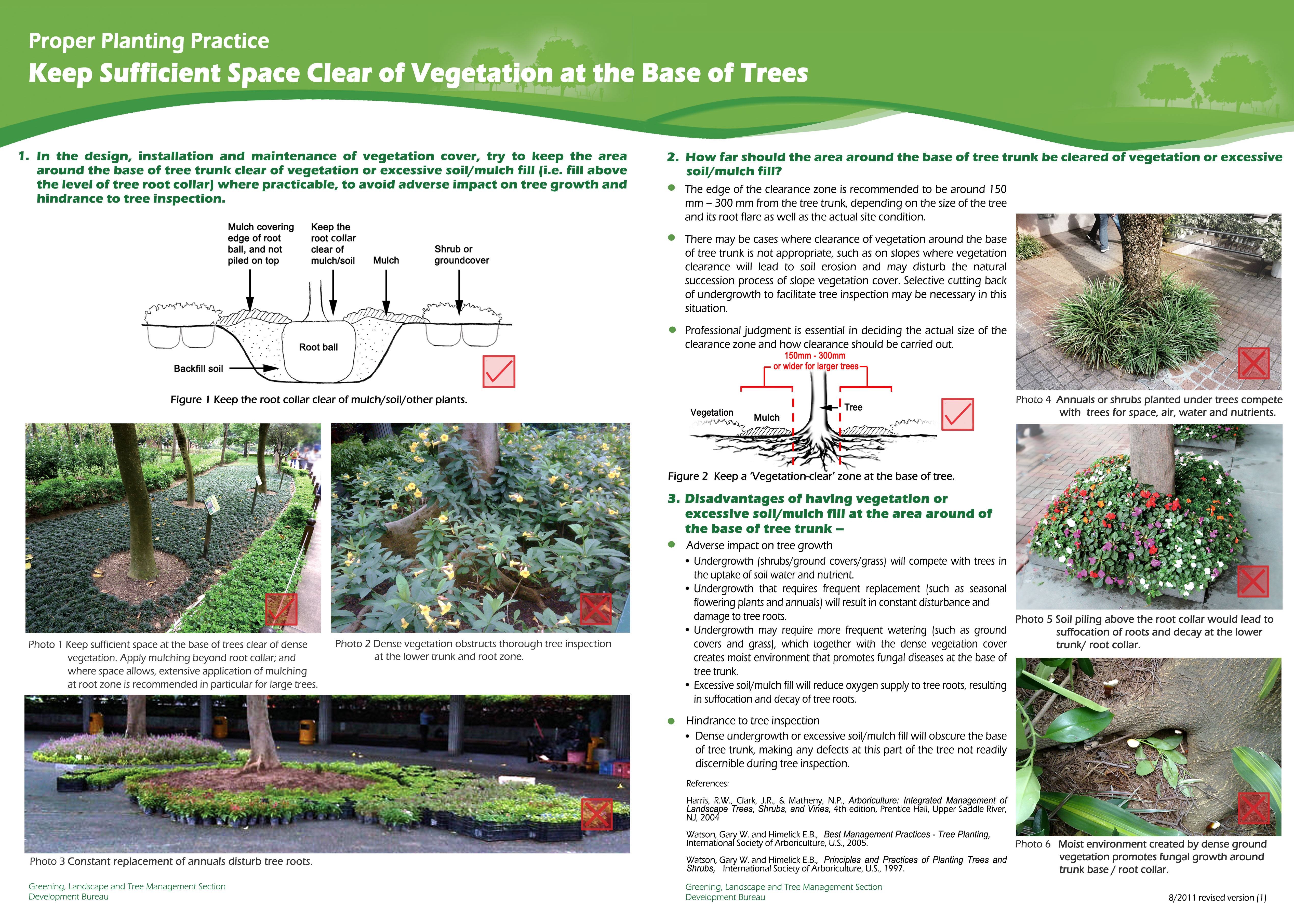 Greening - Proper Planting Practices (121)