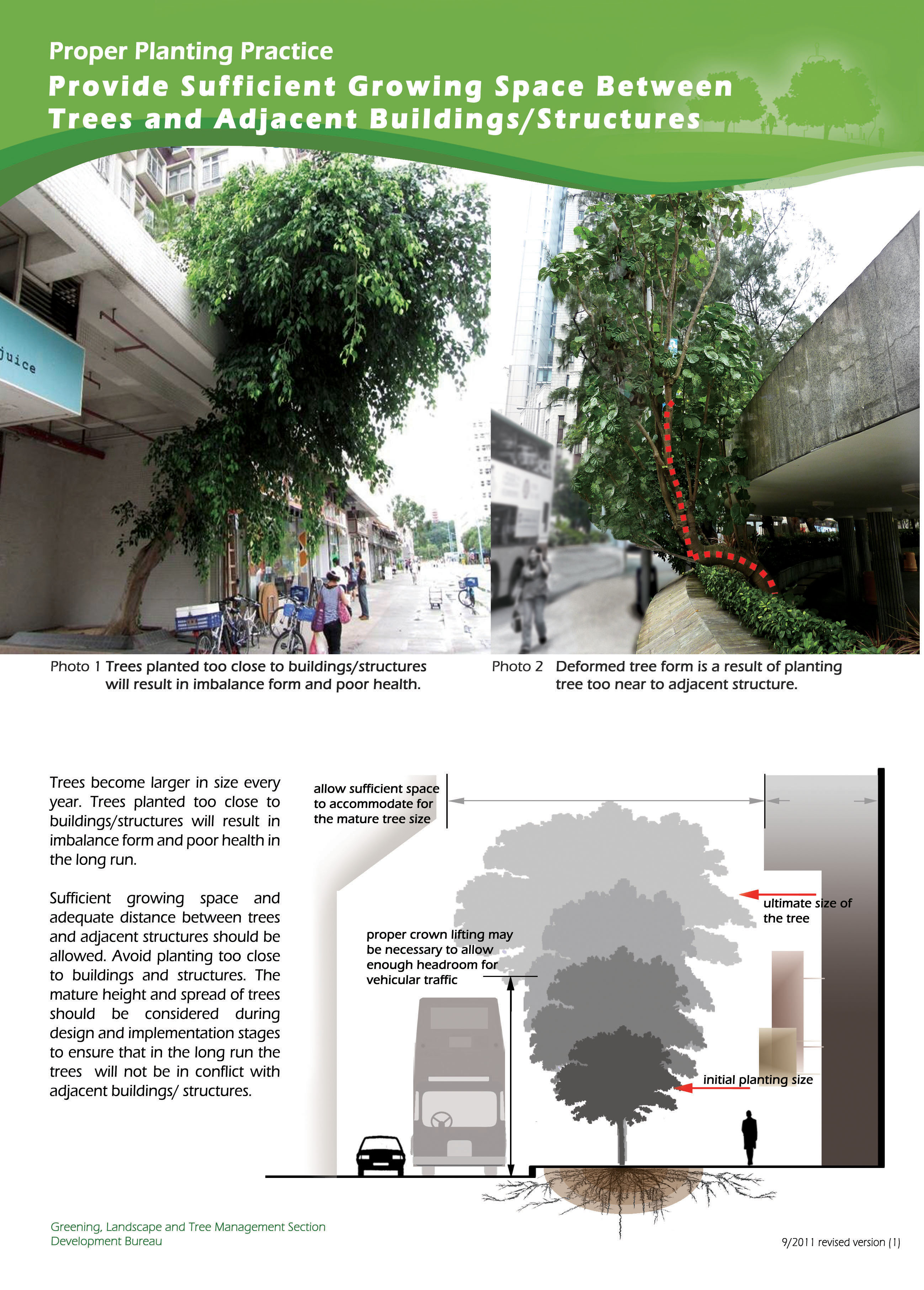 Greening - Proper Planting Practices (121)