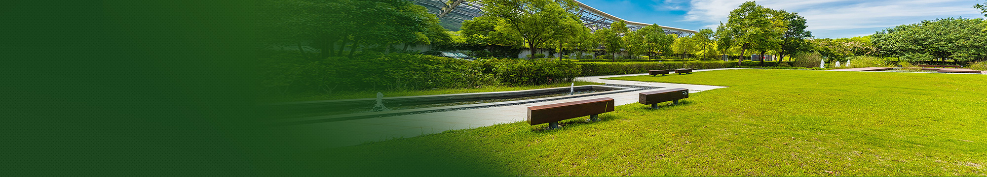 Greening - Pictorial Guide to Plant Resources for Skyrise Greenery in ...