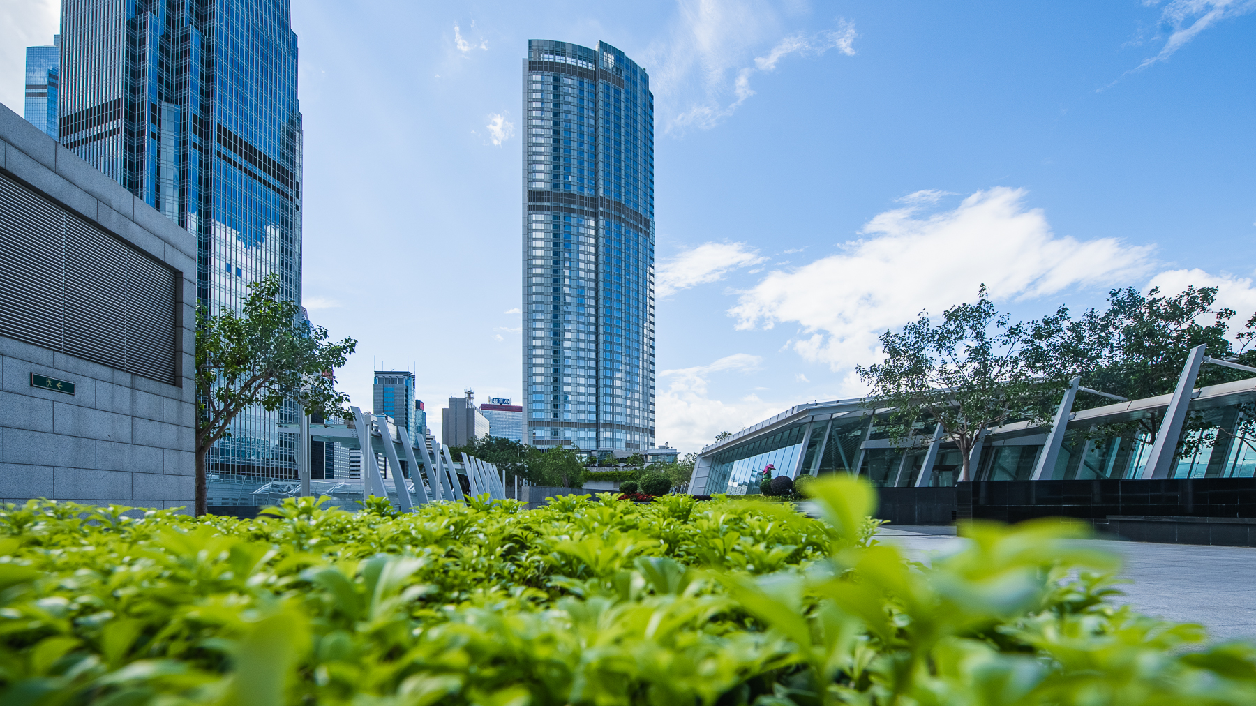 Greening - Landscape Corner (43)