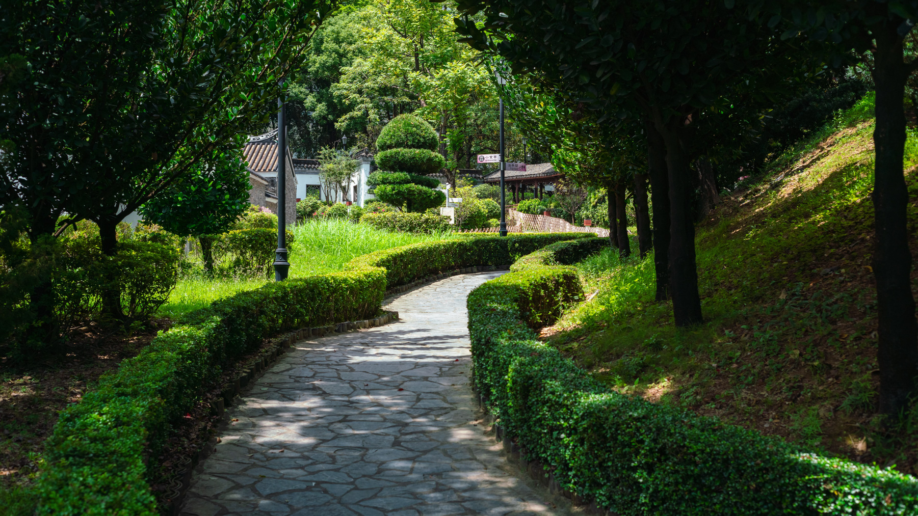 Greening - Landscape Corner (46)