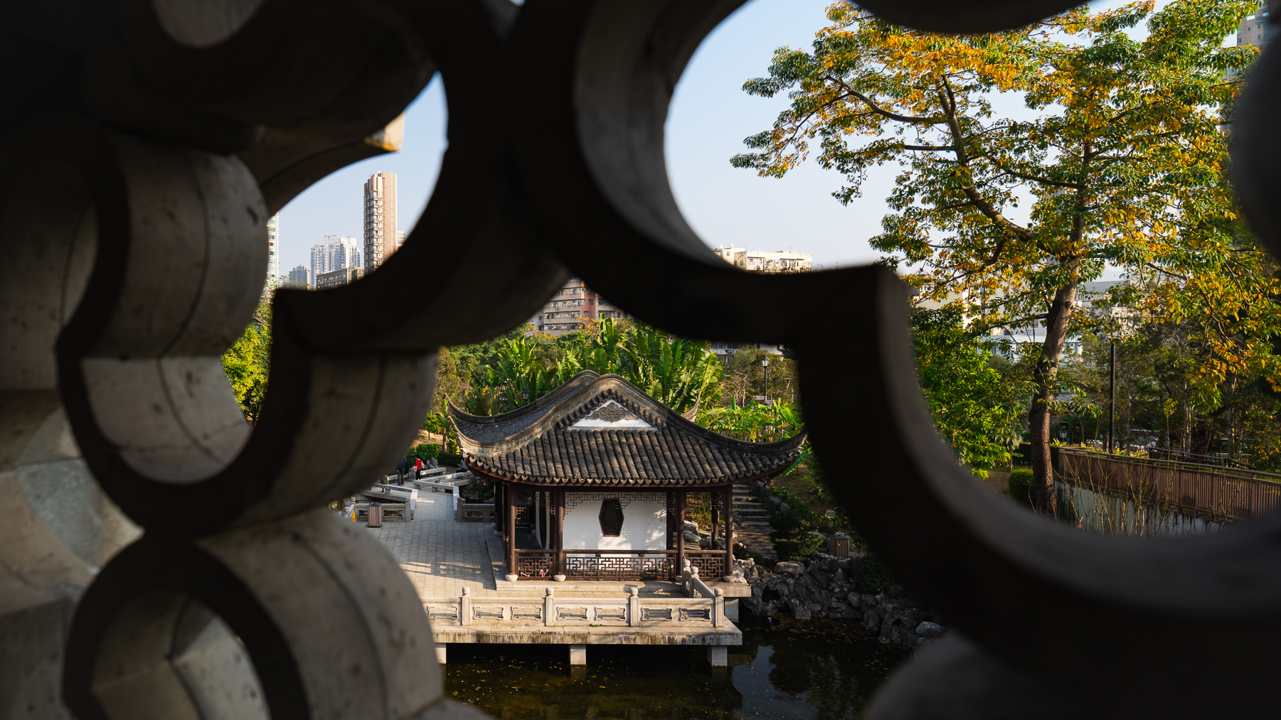 Greening - Landscape Corner (46)