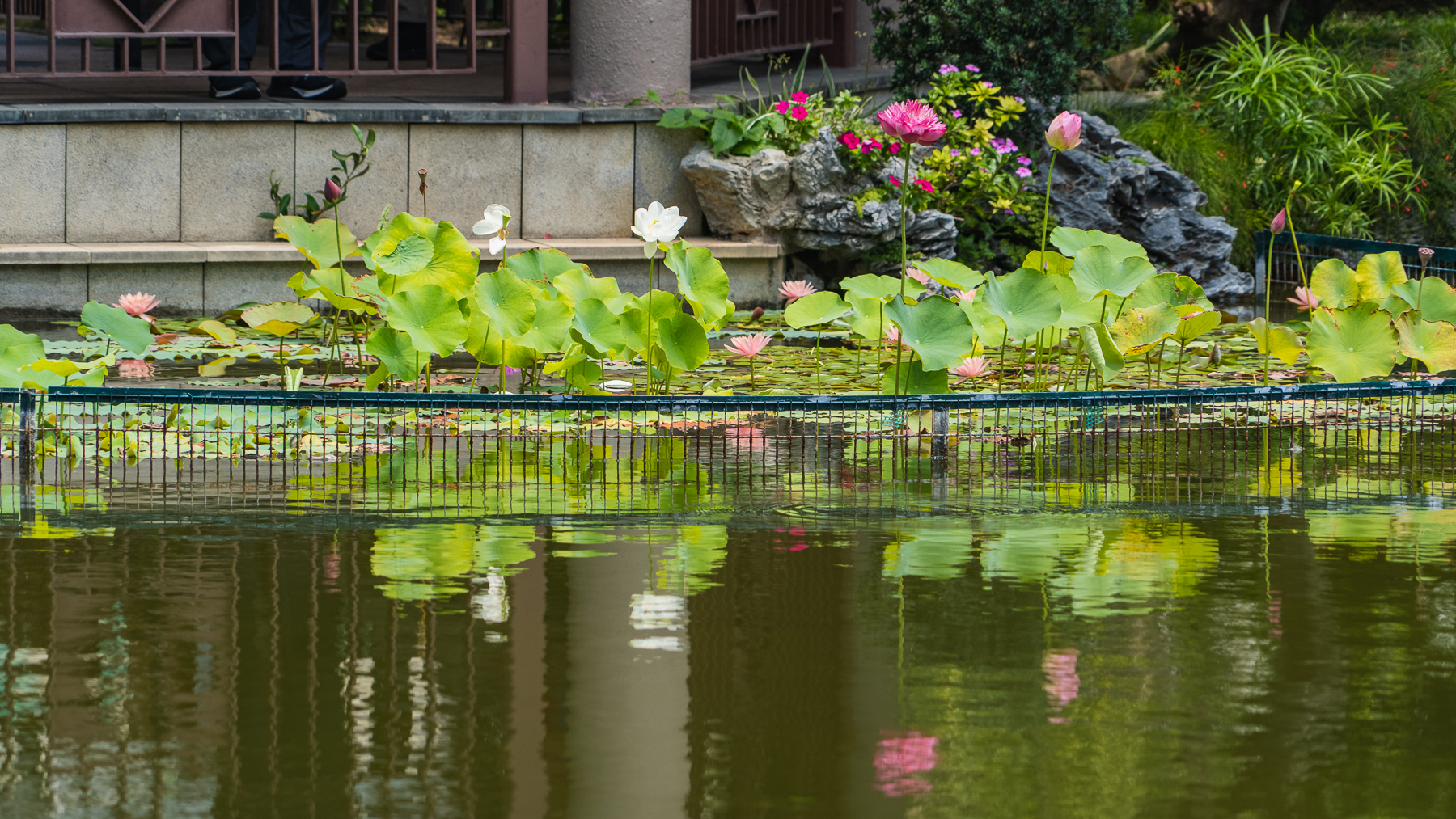 Greening - Landscape Corner (67)