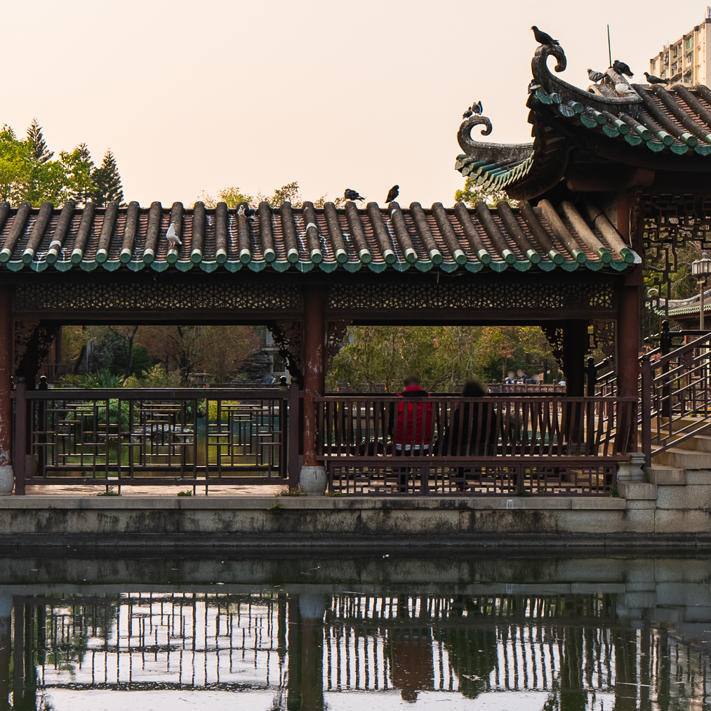 Greening - Landscape Corner (74)